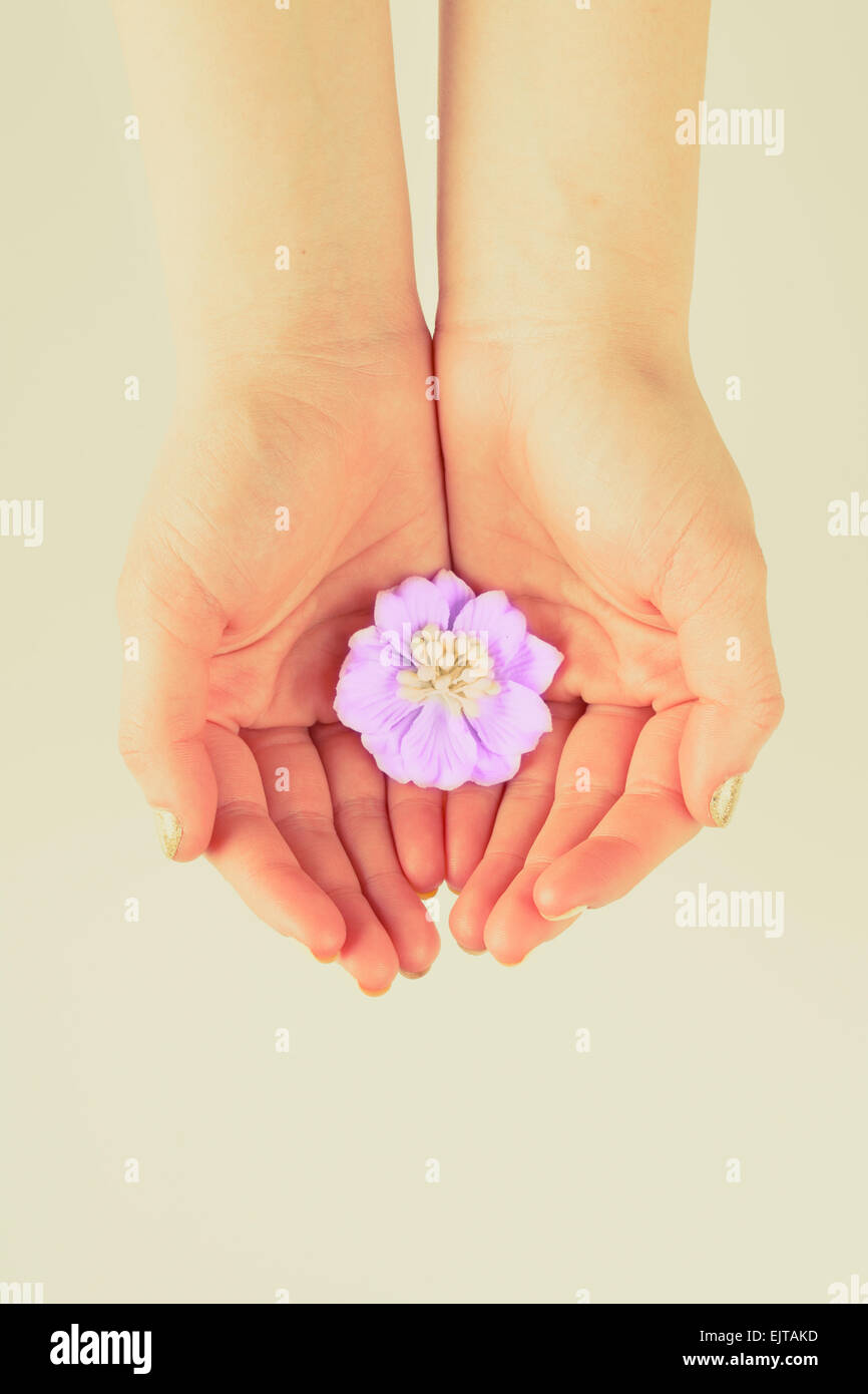 flower in women's hands Stock Photo - Alamy