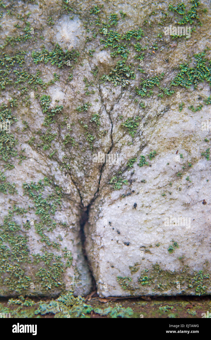 Gravestone moss crack hi-res stock photography and images - Alamy