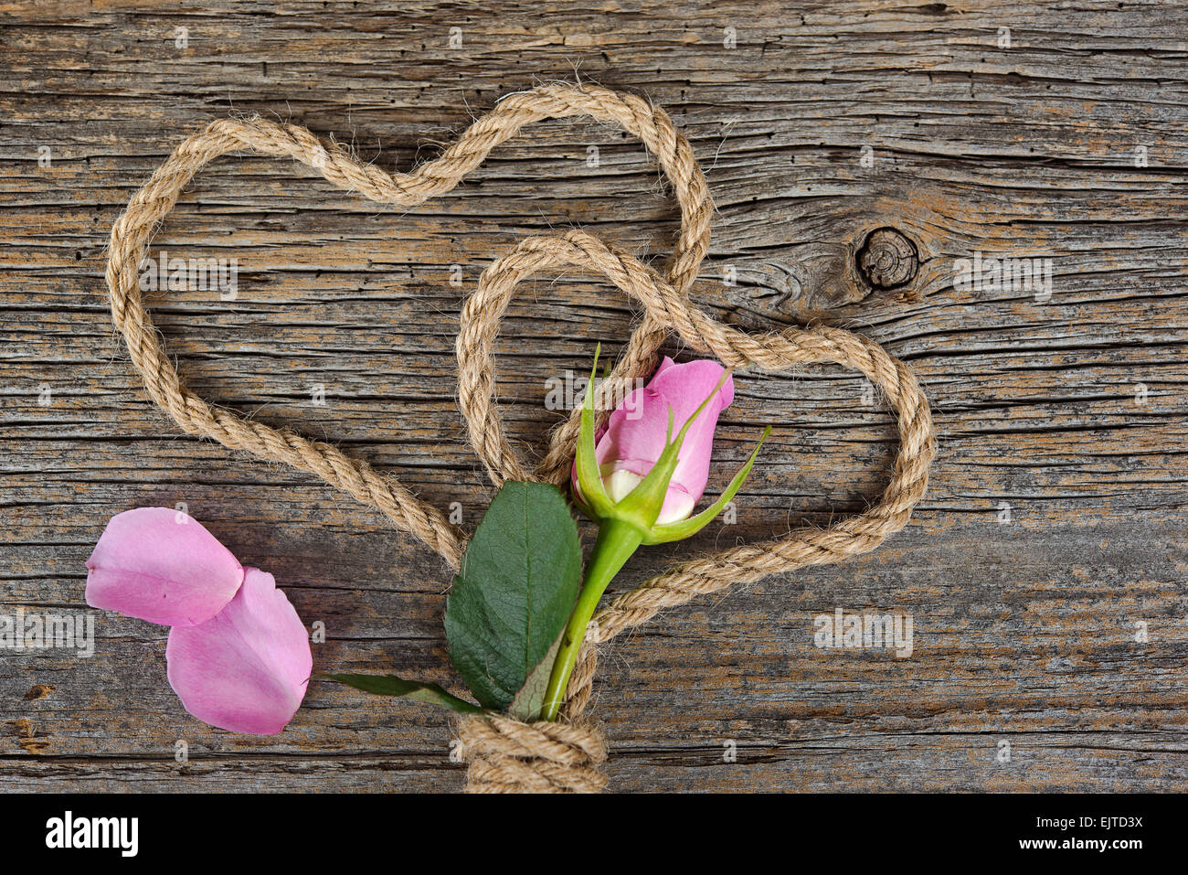 rope heart and pink rose Stock Photo - Alamy