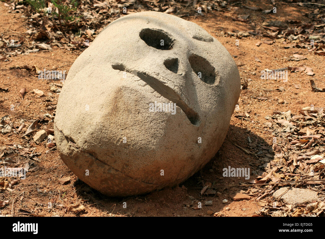 Skull buried hi-res stock photography and images - Alamy