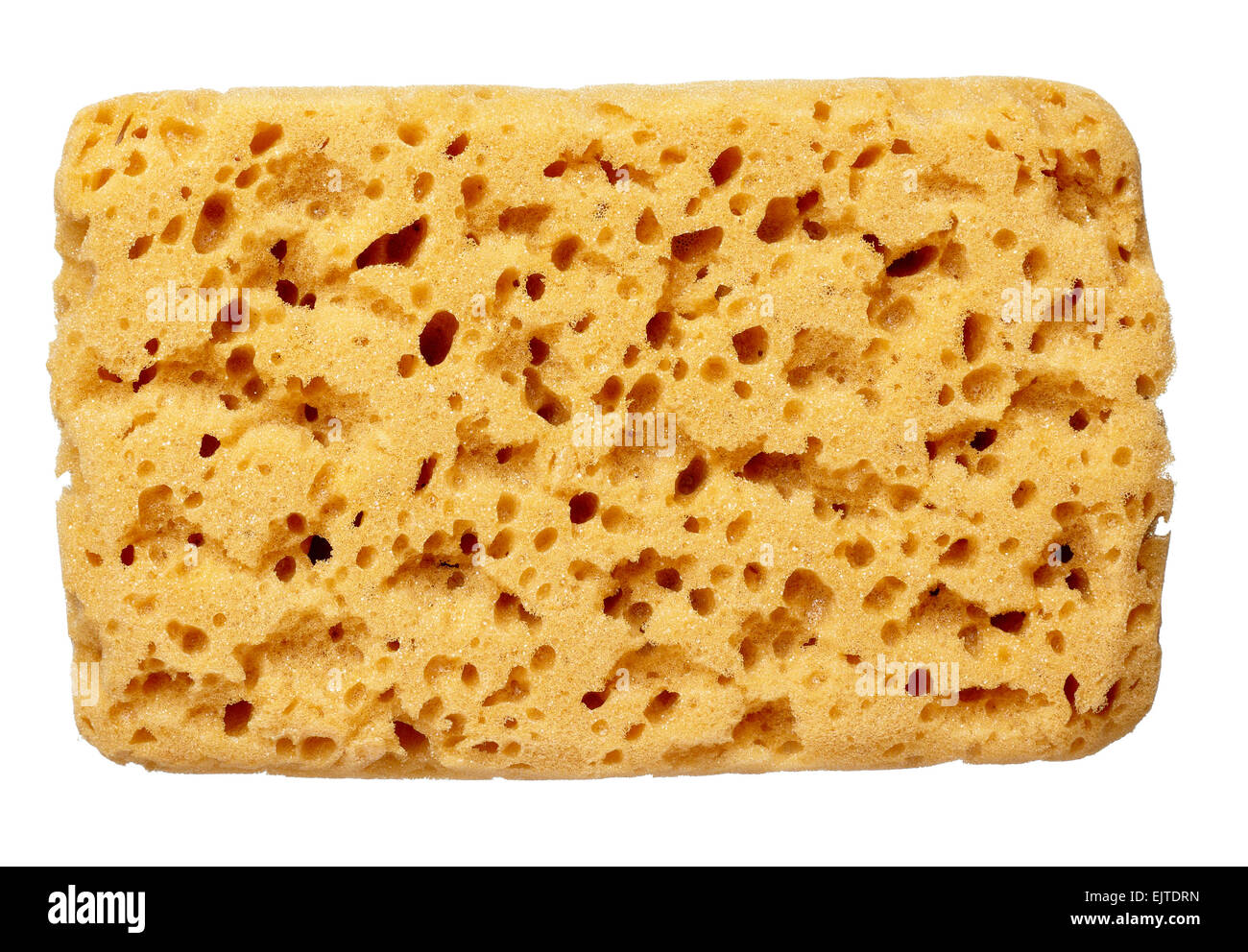 close up of a sponge on white background with clipping path Stock Photo ...