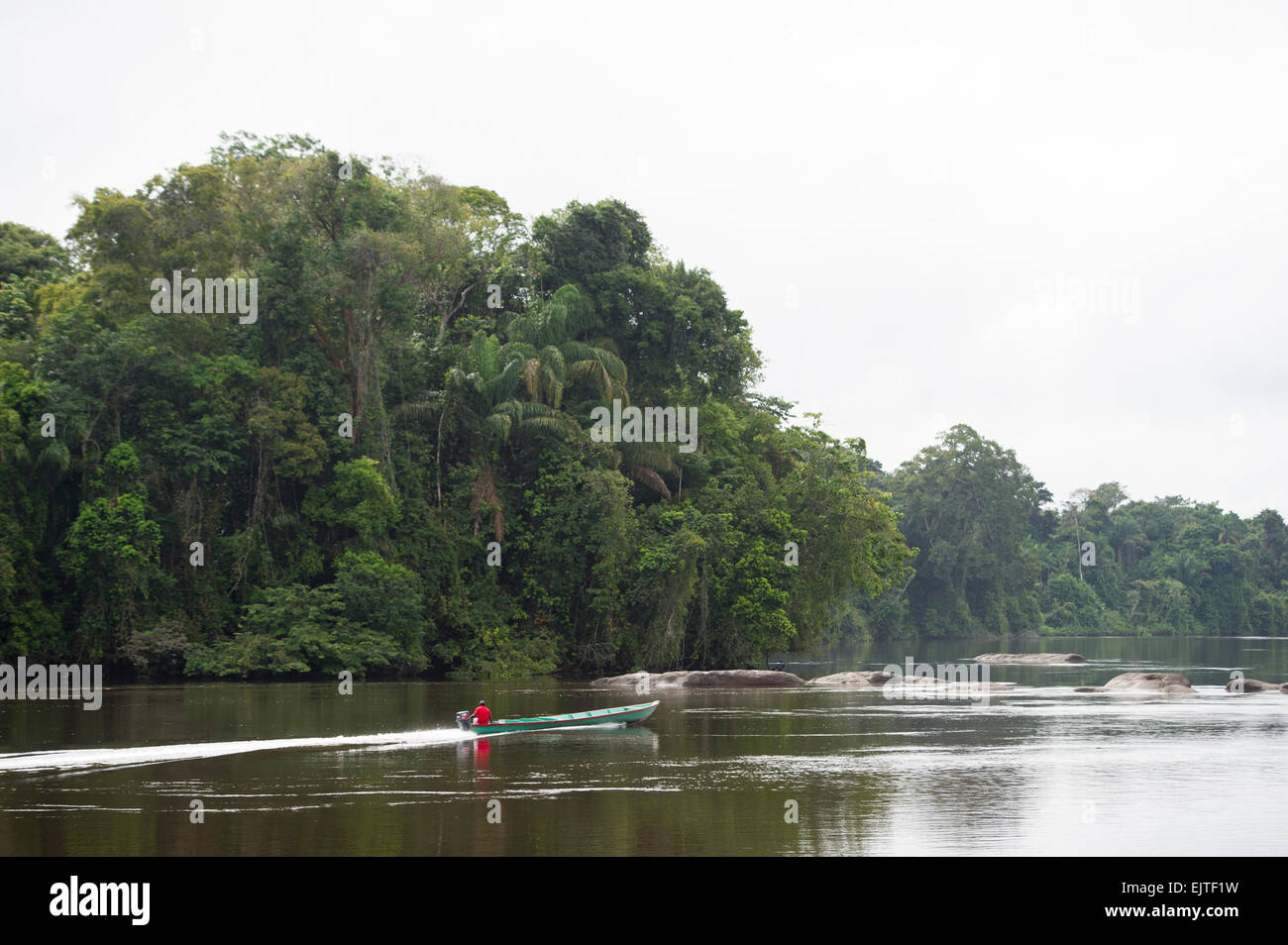 Boat on the Upper Suriname River, Suriname Stock Photo - Alamy