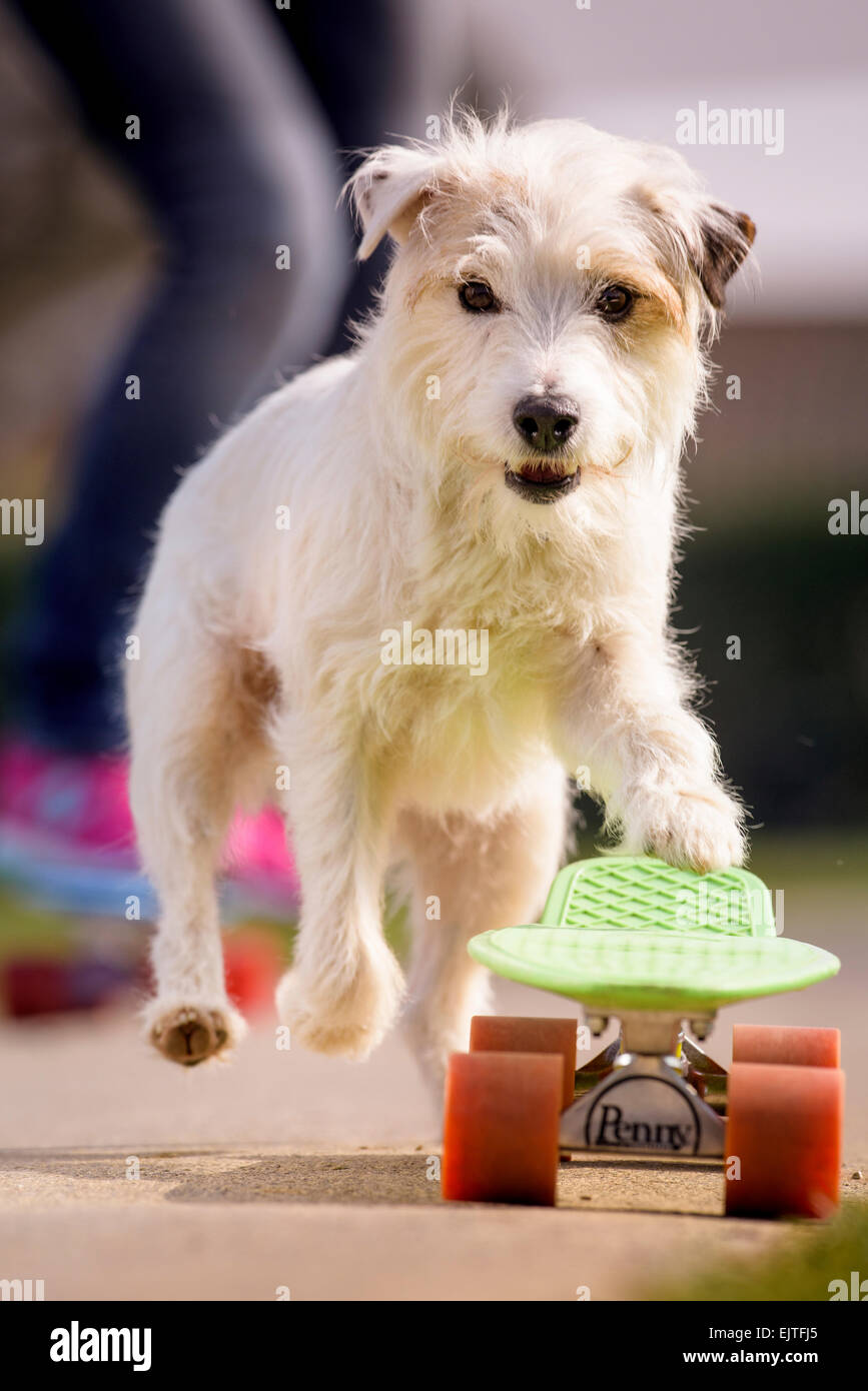 Super smurf hi-res stock photography and images - Alamy