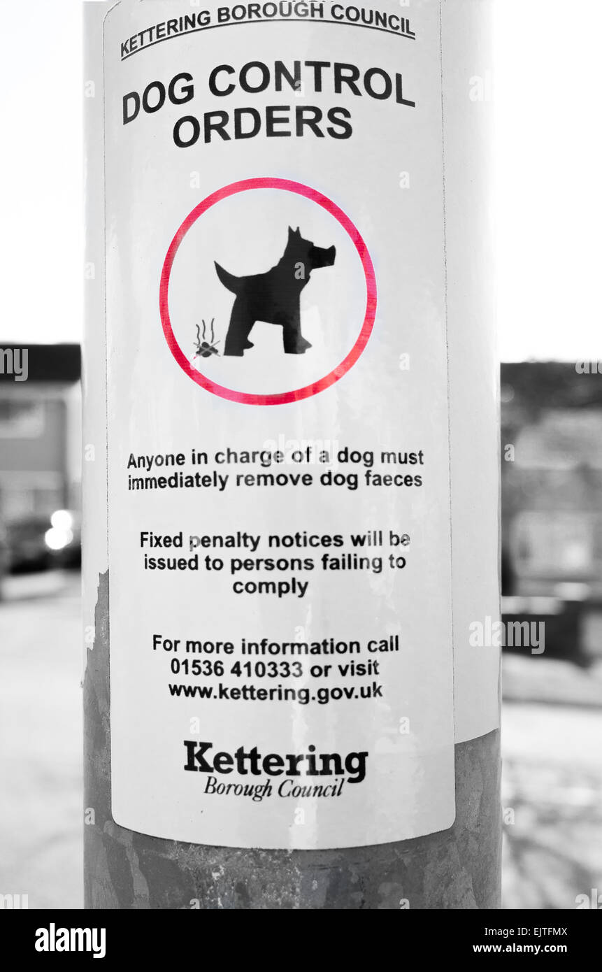 Dog control hi-res stock photography and images - Alamy