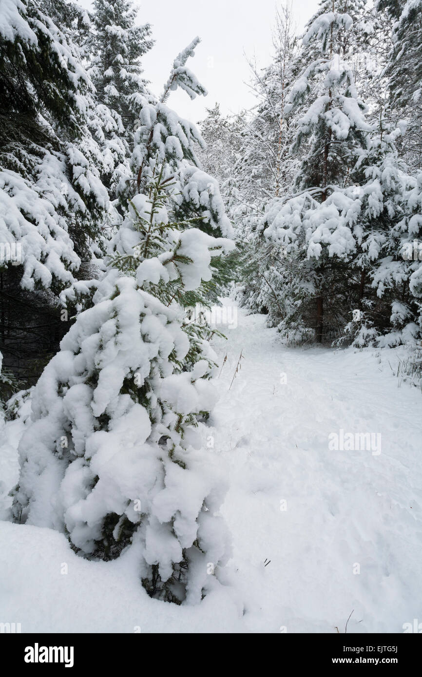 Snow trail hi-res stock photography and images - Alamy