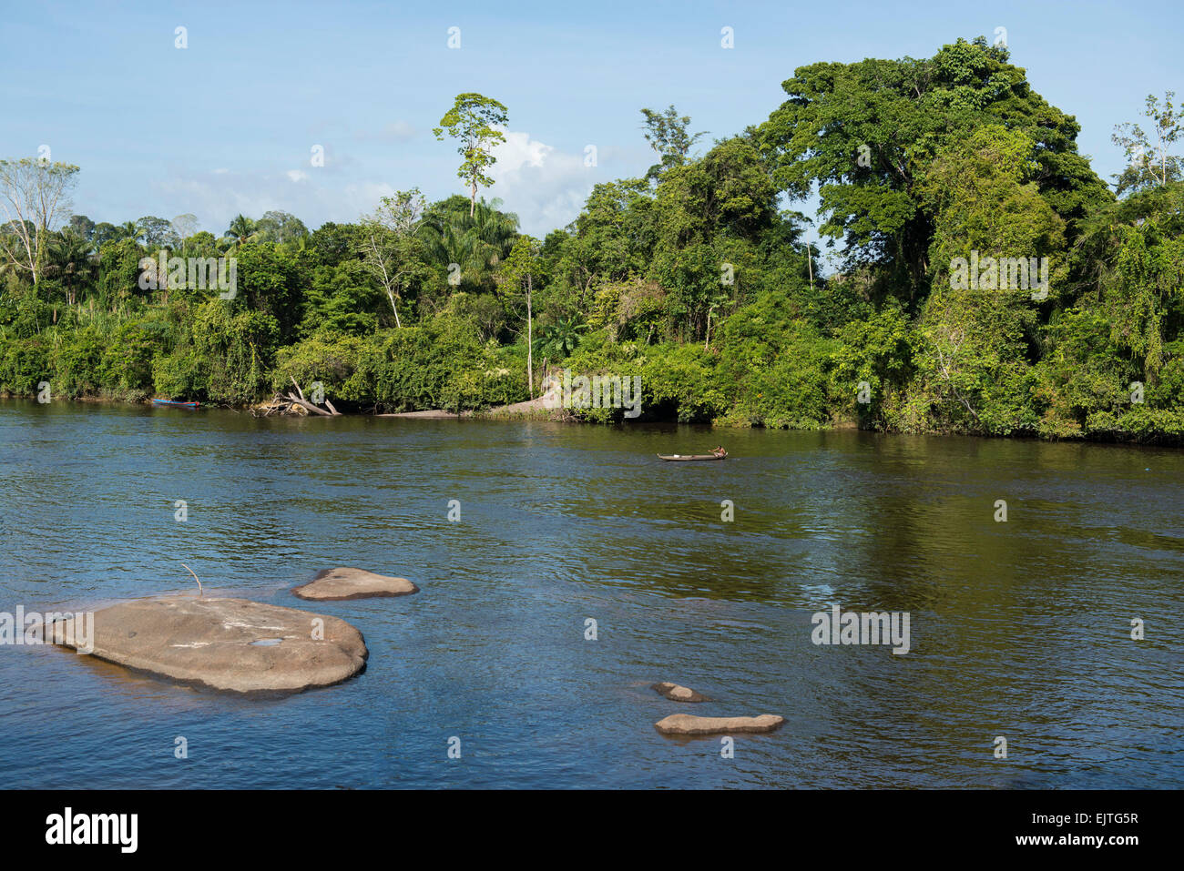 Maroon fisherman canoeing on the Upper Suriname River, Suriname Stock ...