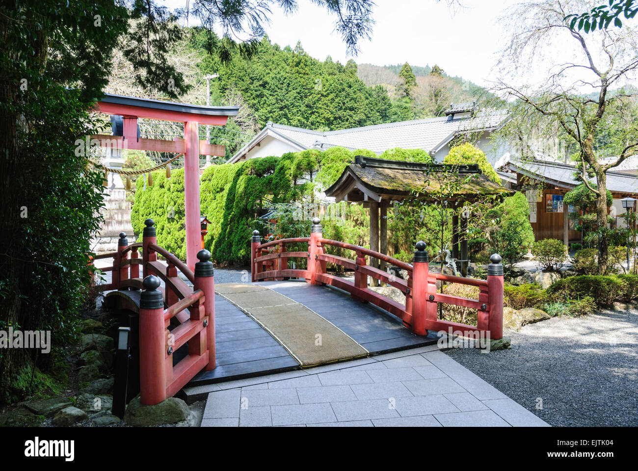 Attractive red Japanese arched bridge and torii gate at a Shinto shrine ...