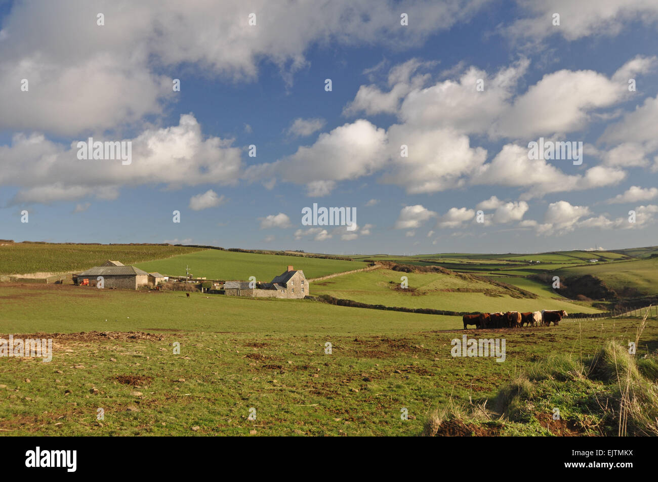 Croydehoe Farm on the clifftop at Baggy Point, Croyde, North Devon ...