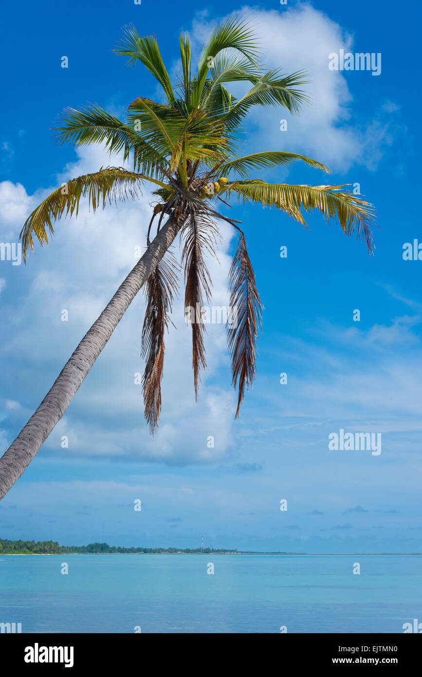 Gan addu atoll maldives hi-res stock photography and images - Alamy