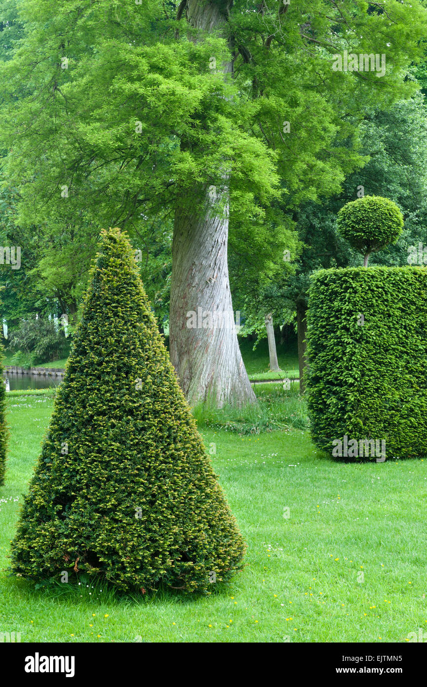 Yew topiary hi-res stock photography and images - Alamy