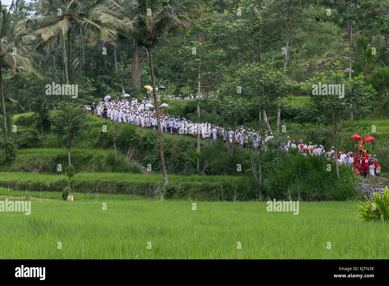 Bali, Indonesia. 1st Apr, 2015. Balinese Hindu devotees carry 'Pratima ...
