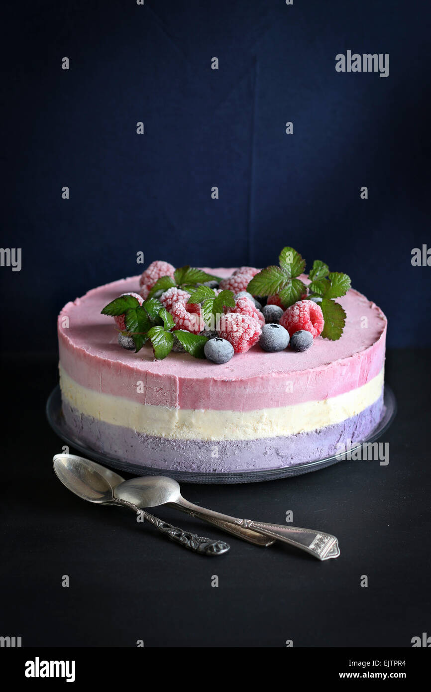 Blueberry Ice Cream Cake