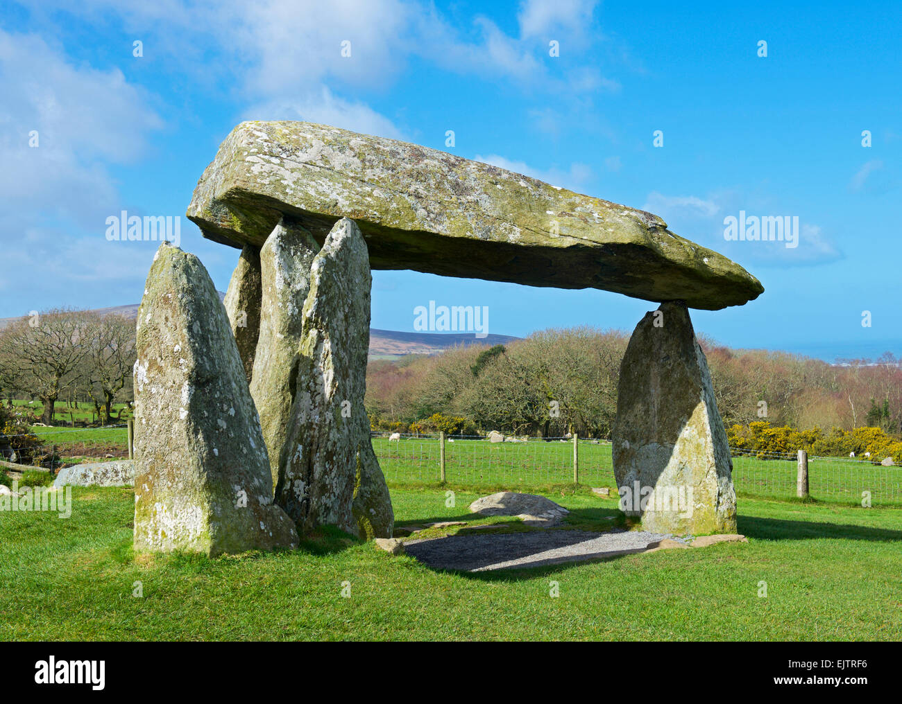Pentre Ifan, a neolithic dolmen in Pembrokeshire, Wales UK Stock Photo ...