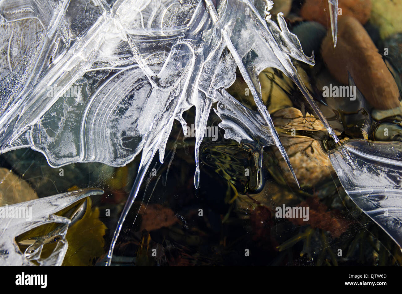 Shoreline cobbles hi-res stock photography and images - Alamy