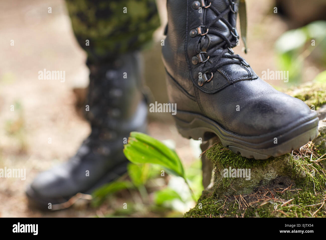 close up of soldier feet with army boots in forest Stock Photo - Alamy