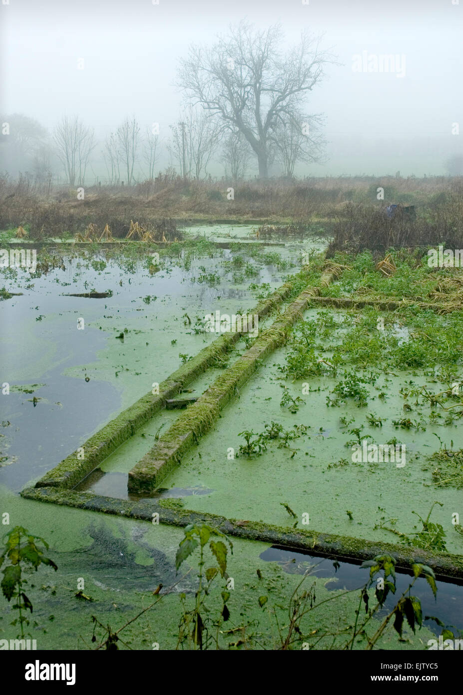 Buckinghamshire river chess hi-res stock photography and images - Alamy