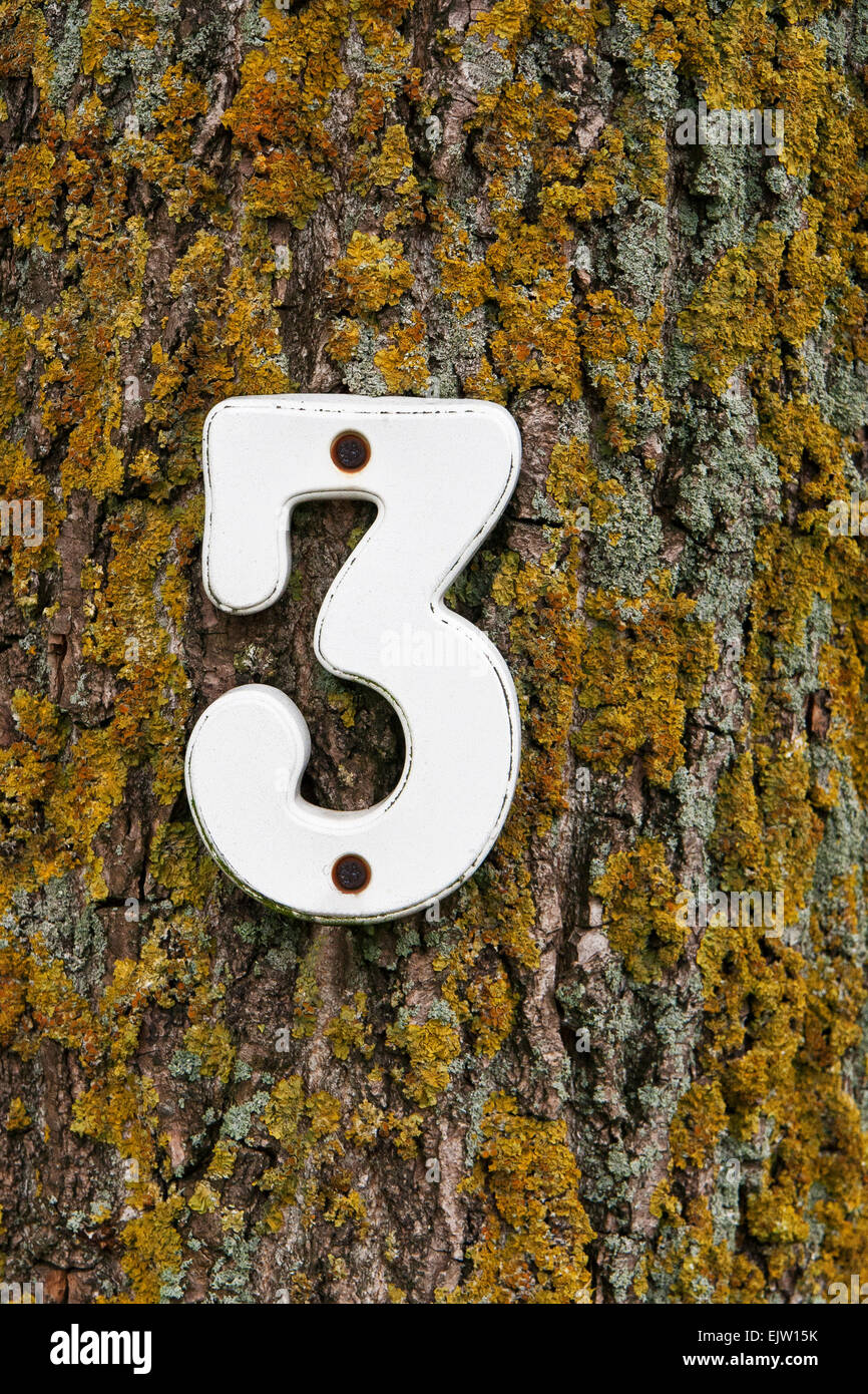 House number 3 in white on a tree trunk Stock Photo - Alamy