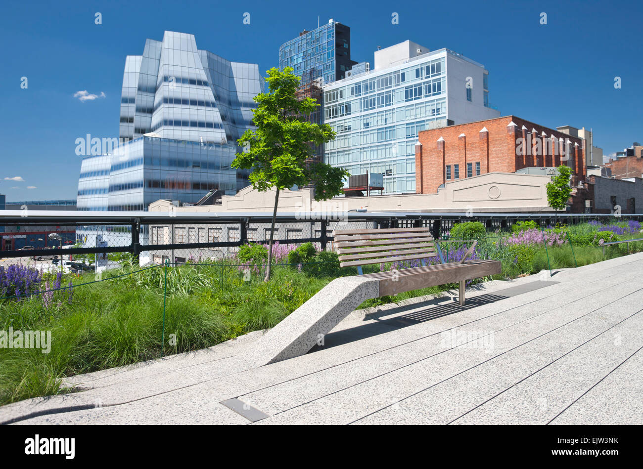 PARK BENCH HIGH LINE ELEVATED URBAN PARK CHELSEA MANHATTAN NEW YORK ...