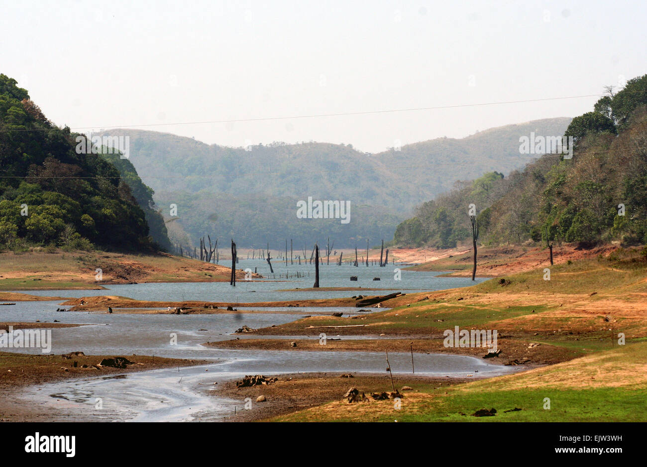 Periyar national park hi-res stock photography and images - Alamy