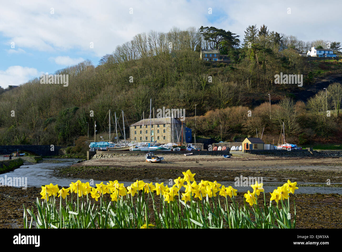 Boats on the estuary of the River Gwaun, at Lower Fishguard ...