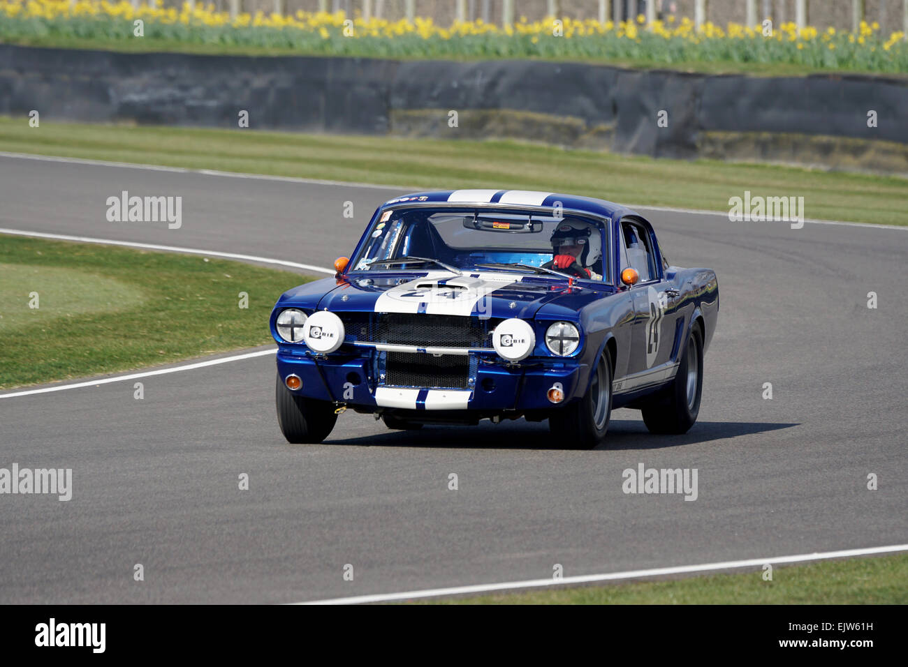 The Ford Shelby Mustang GT350 of Rupert Clevely and R Hartley cornering ...