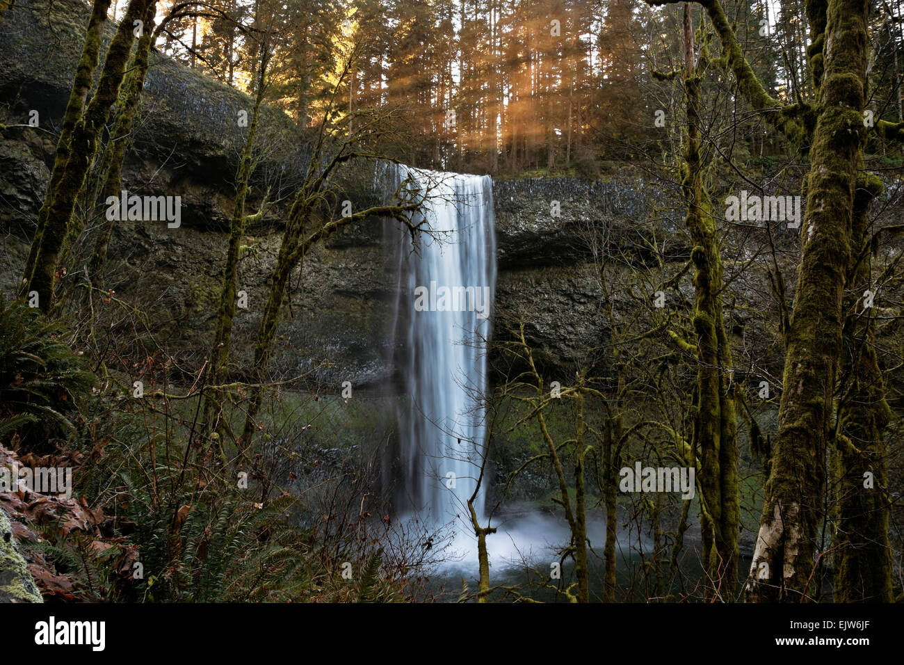 Sunlight falls hi-res stock photography and images - Alamy