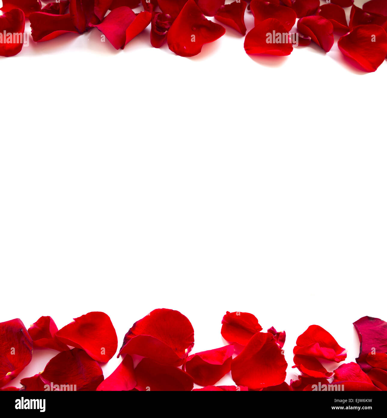 Rose Petals Border Stock Photo - Alamy