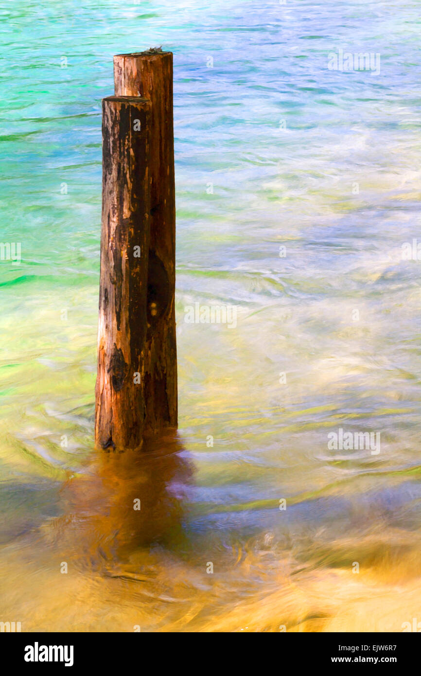 Painting tree trunks hi-res stock photography and images - Alamy