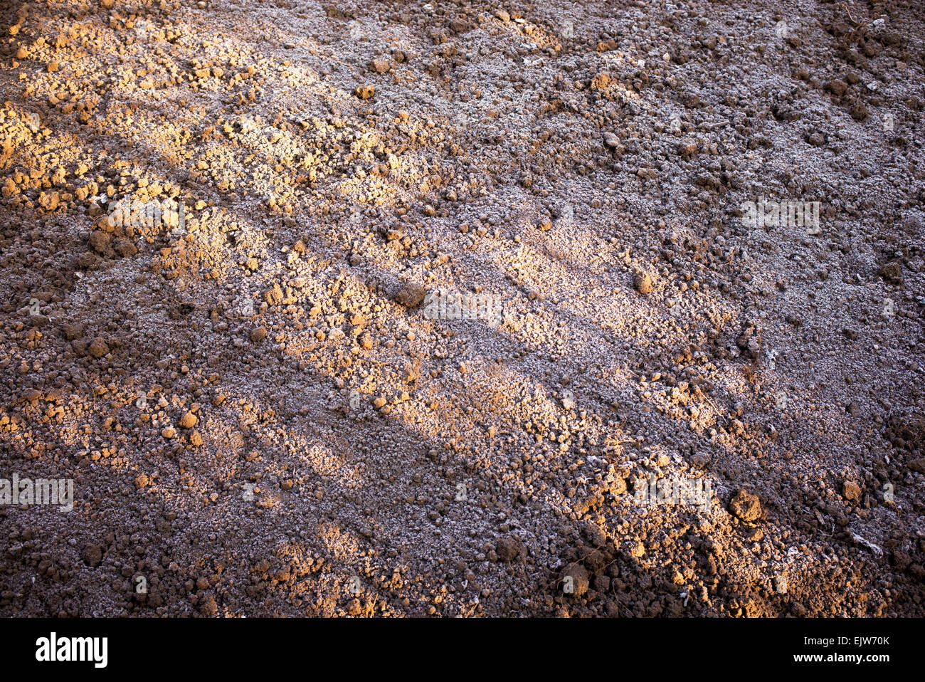 Freshly dug vegetable patch covered in an early spring frost in shadow ...