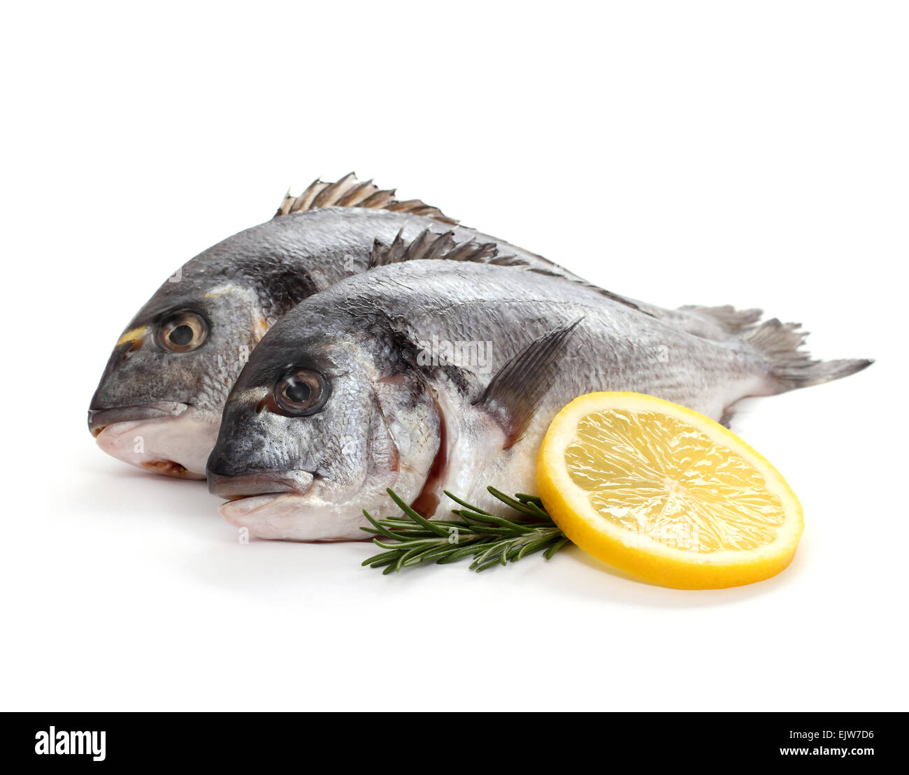 Two couple of fresh gilt-head isolated on white Stock Photo - Alamy