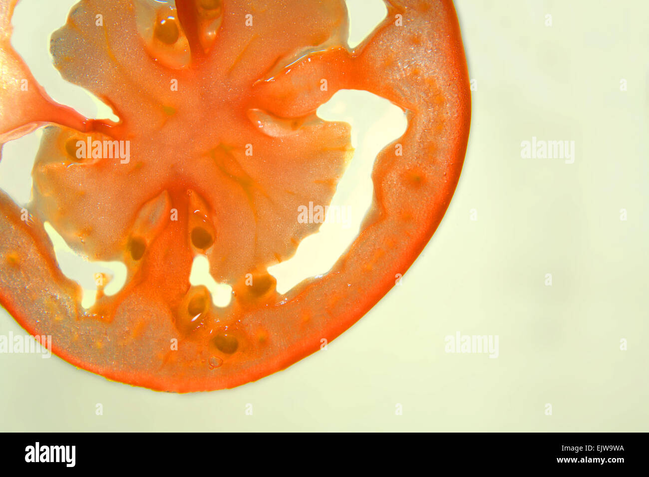 Slice of tomato fresh isolated on white background Stock Photo - Alamy