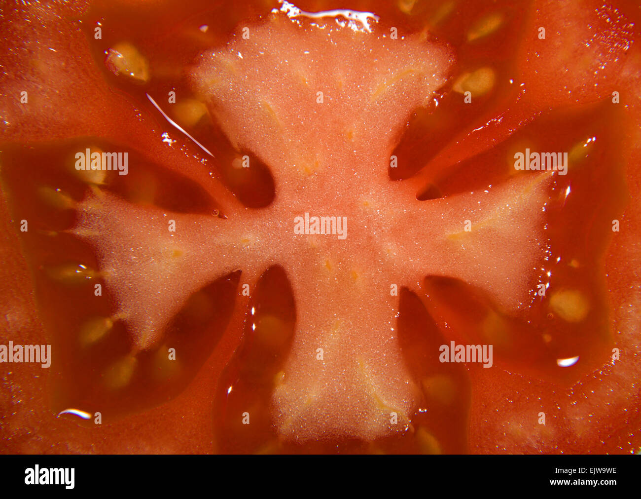Slice of tomato fresh isolated on white background Stock Photo - Alamy