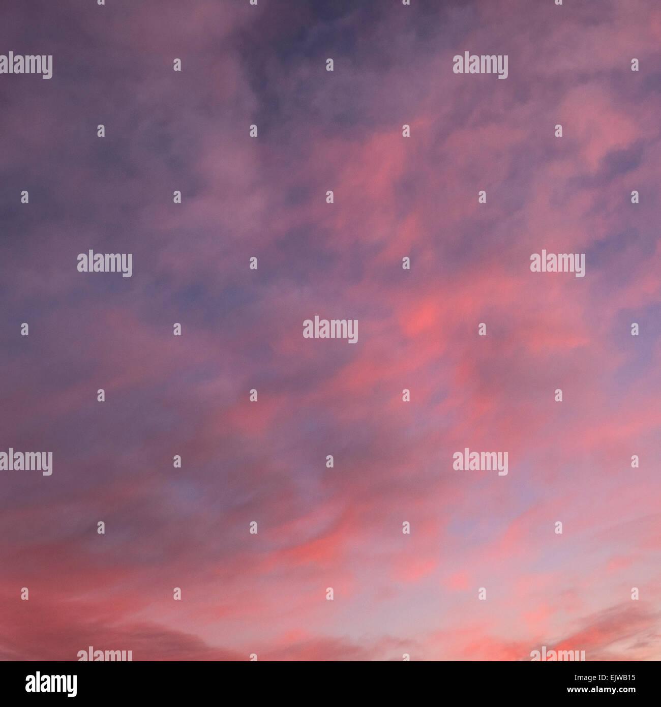 Sunset sky with pink clouds Stock Photo - Alamy
