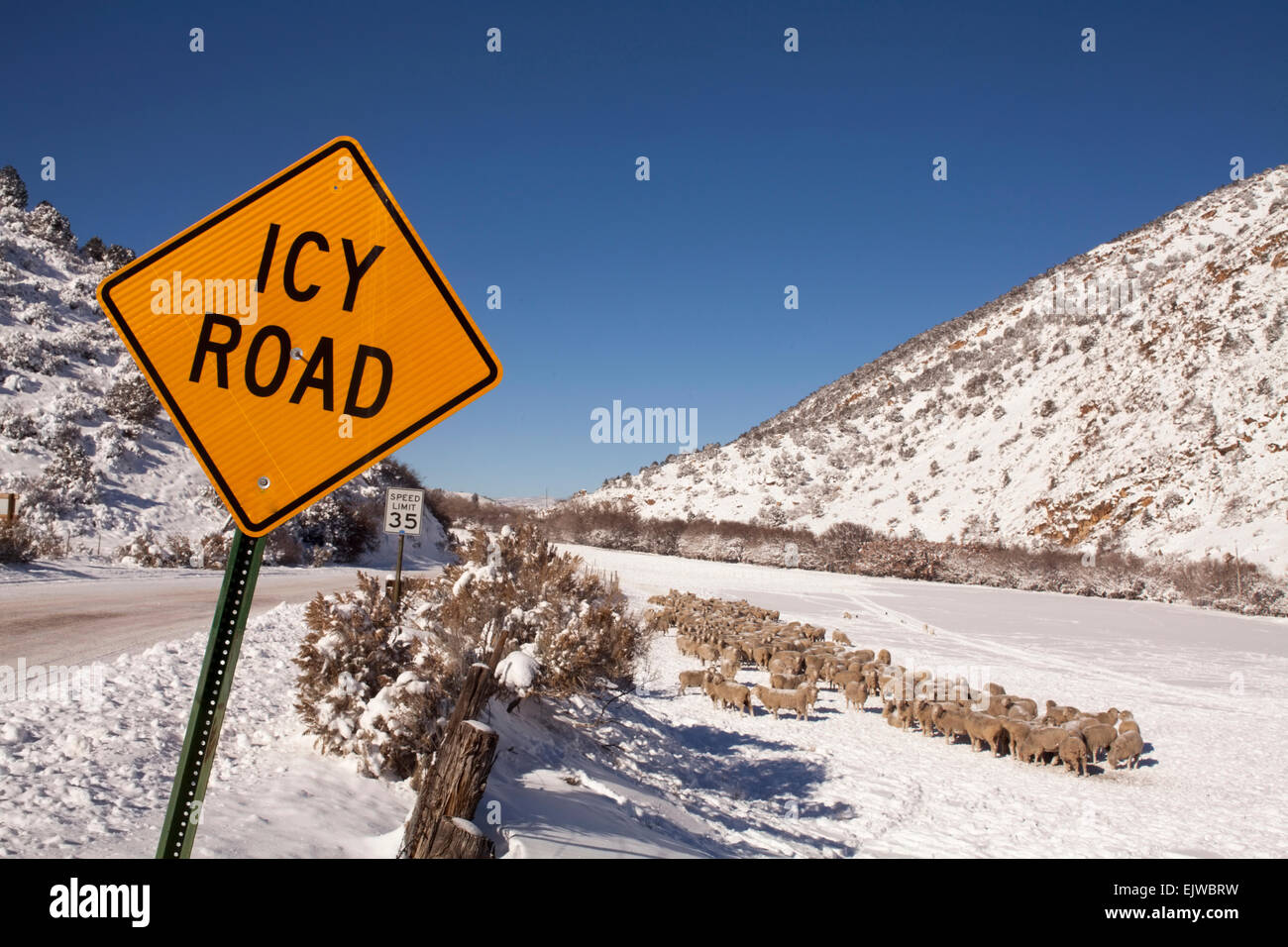 Colorado road sign hi-res stock photography and images - Alamy