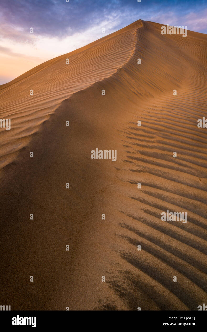 Oregon dunes hi-res stock photography and images - Alamy