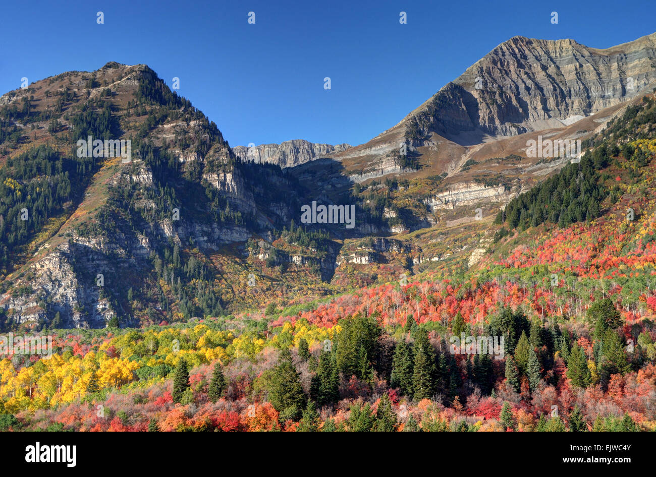Mount timpanogos hi-res stock photography and images - Alamy