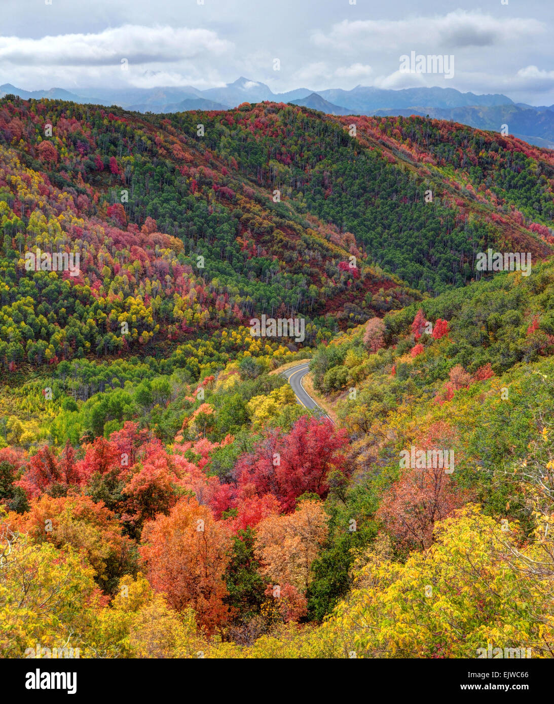 Highway through red fall hi-res stock photography and images - Alamy