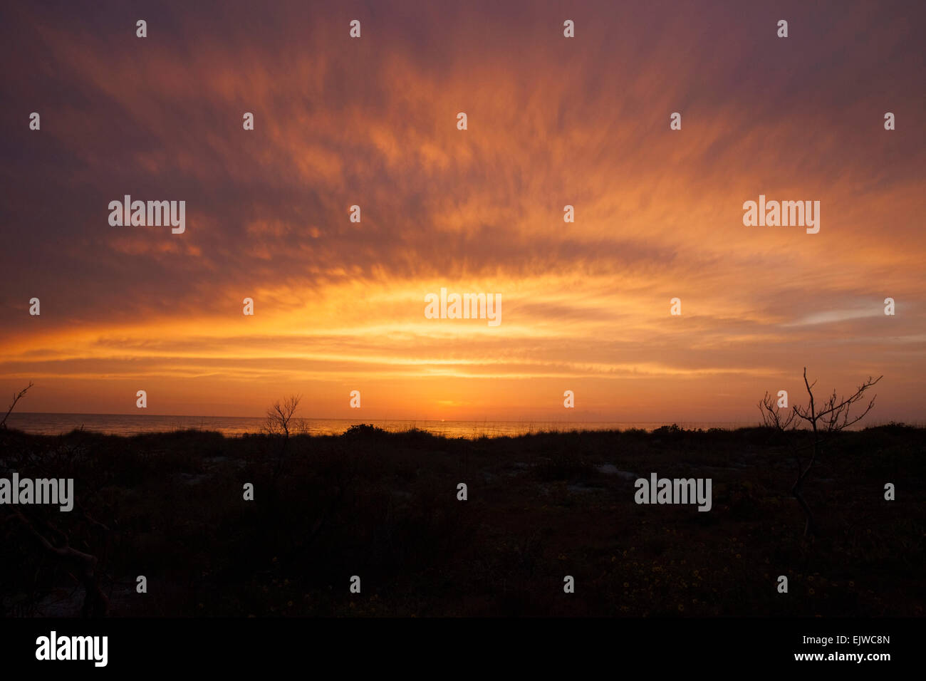 USA, Florida, Captiva Island, Scenic view of sunset sky Stock Photo - Alamy