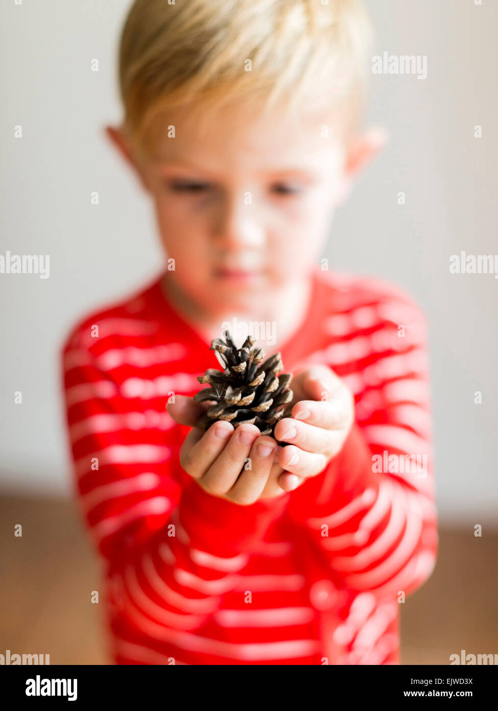 Boy (2-3) holding pine cone Stock Photo - Alamy