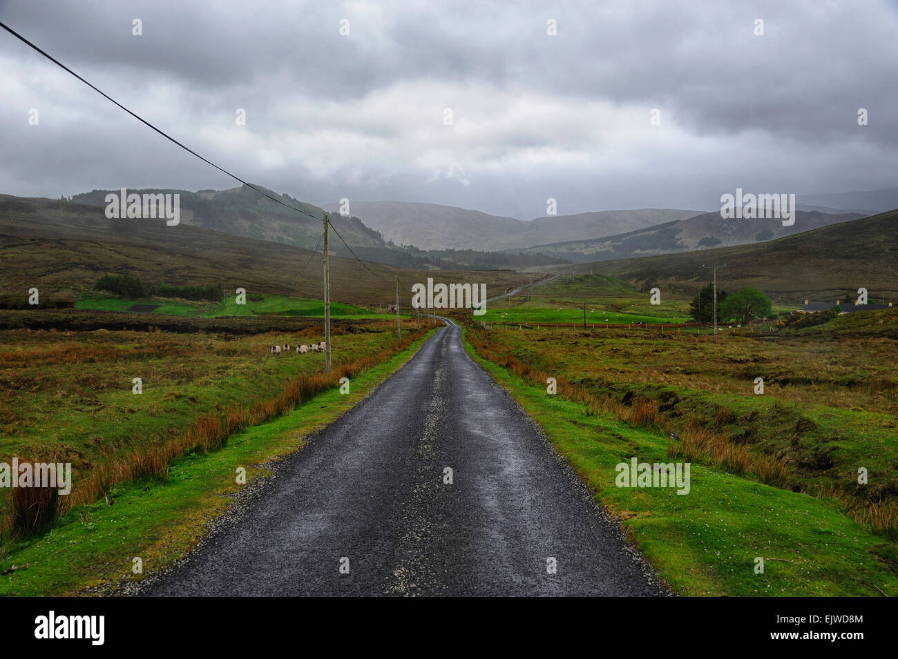 Ireland, Rural County Mayo, Landscape with asphalt road and green grass ...