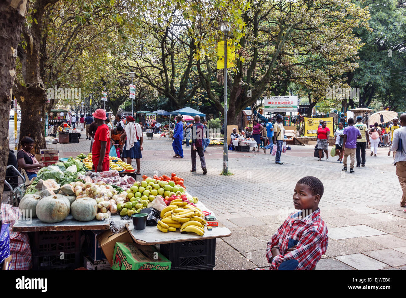 Johannesburg South Africa,African Joubert Park,Central business ...