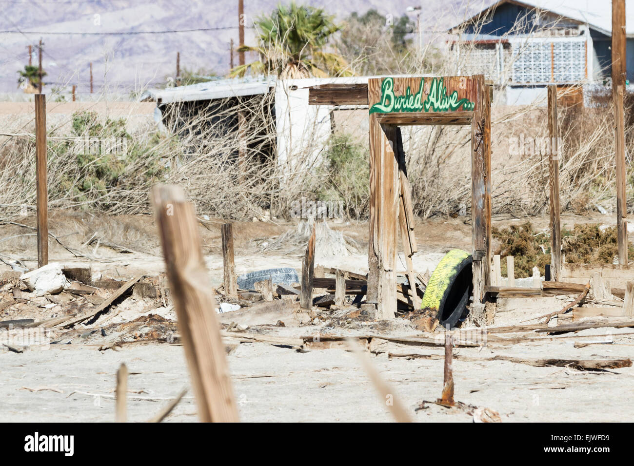 the remains and standing frames of the once popular town Bombay Beach ...
