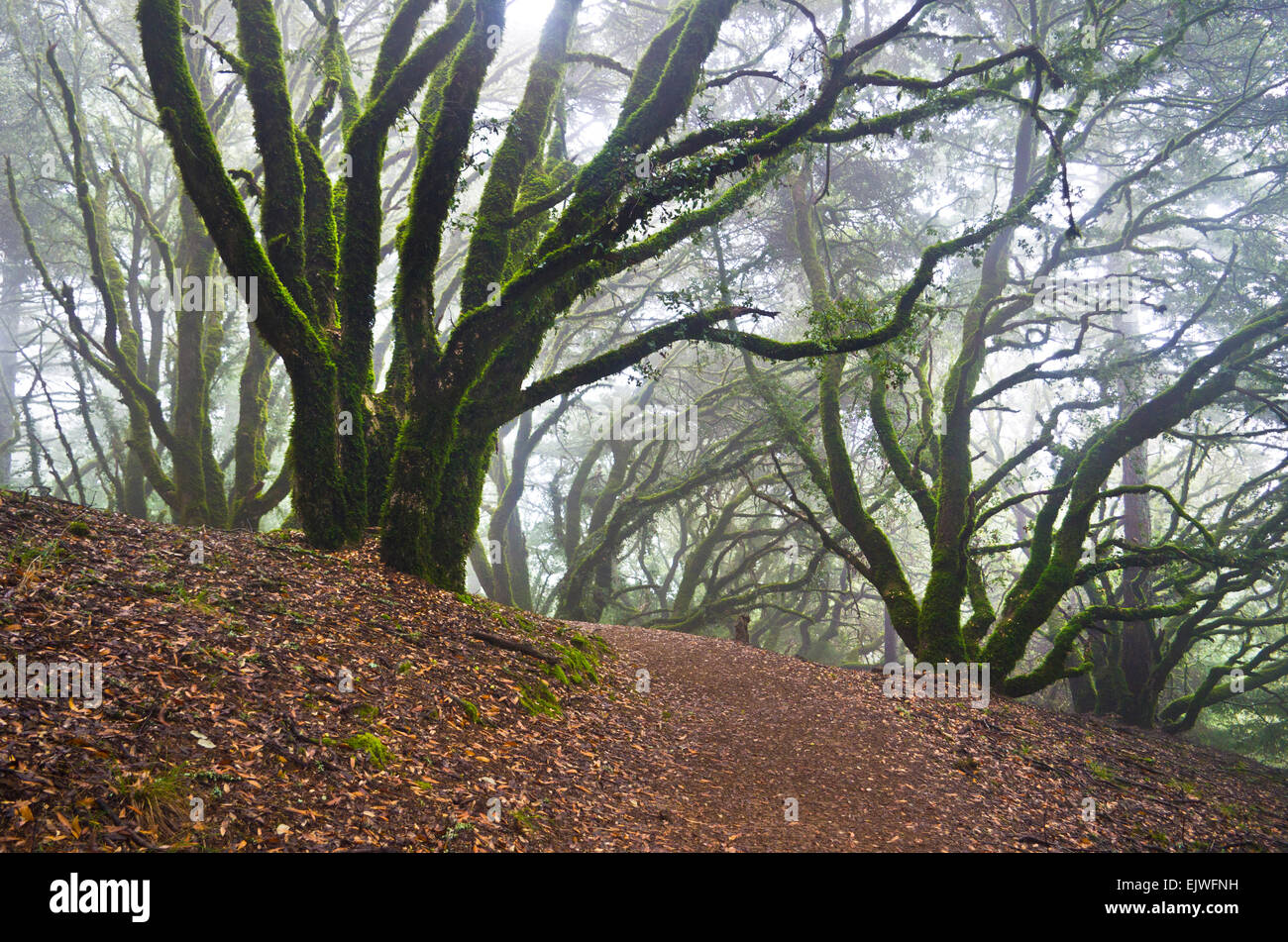 Steep ravine loop hi-res stock photography and images - Alamy