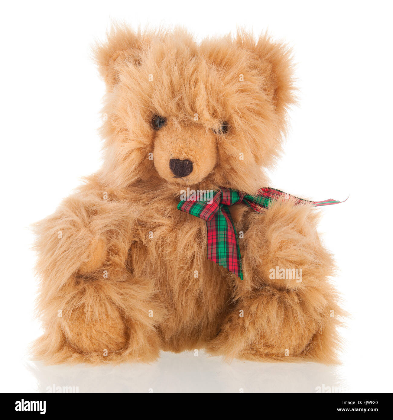 Stuffed fluffy bear isolated over white background Stock Photo - Alamy