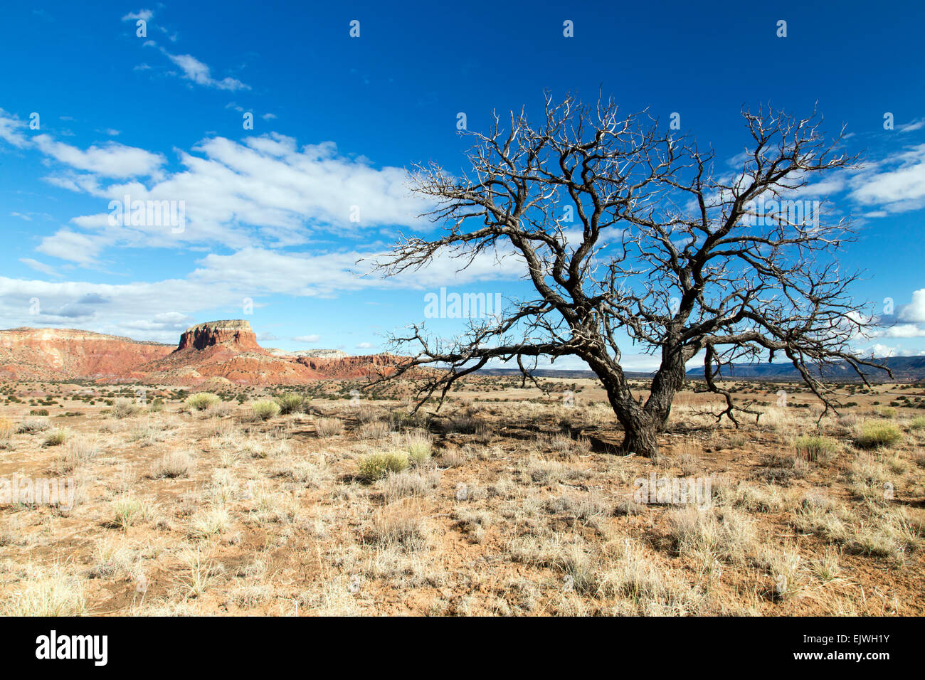 Ghost ranch hi-res stock photography and images - Alamy
