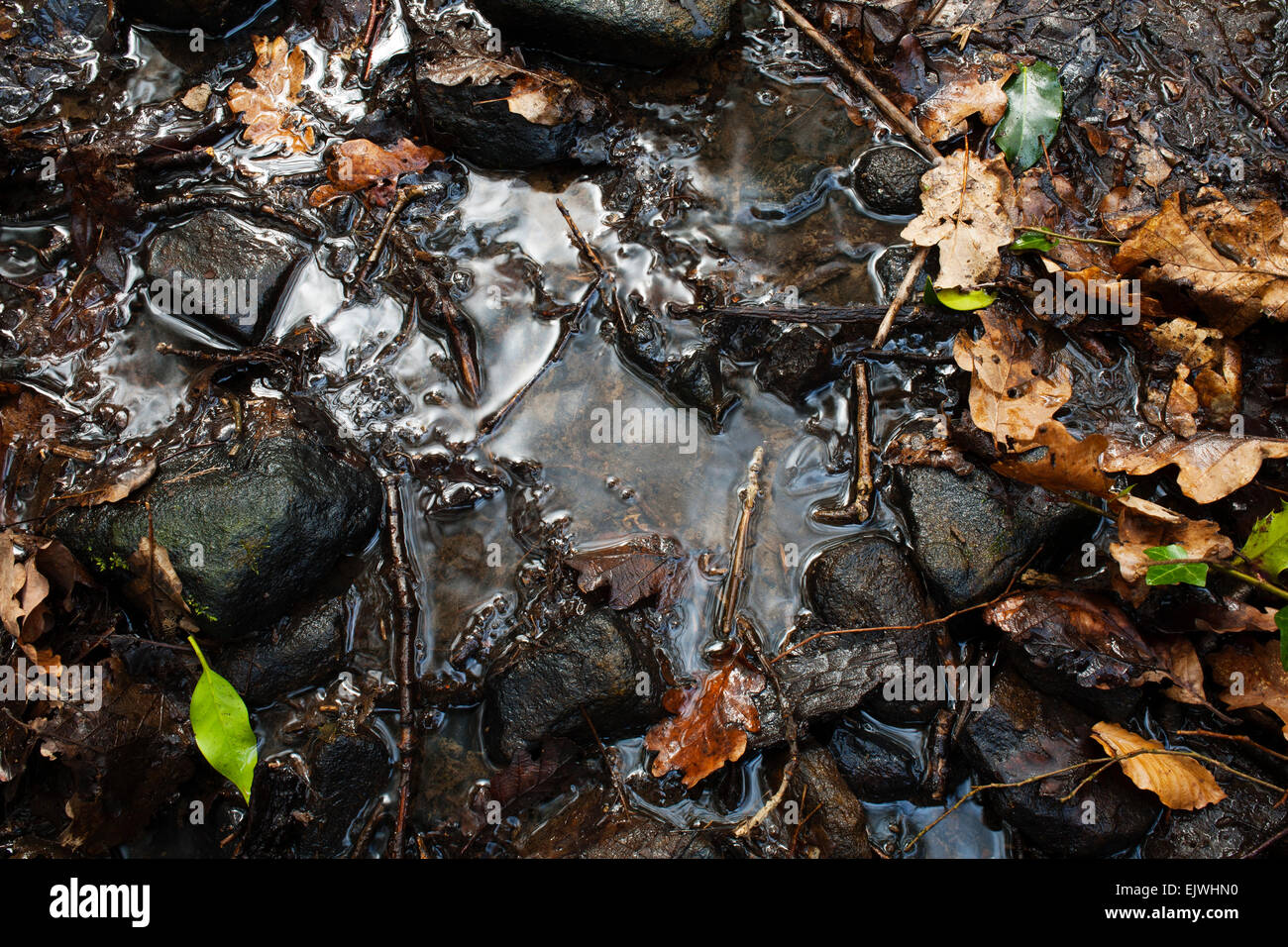 Stream with stones hi-res stock photography and images - Alamy