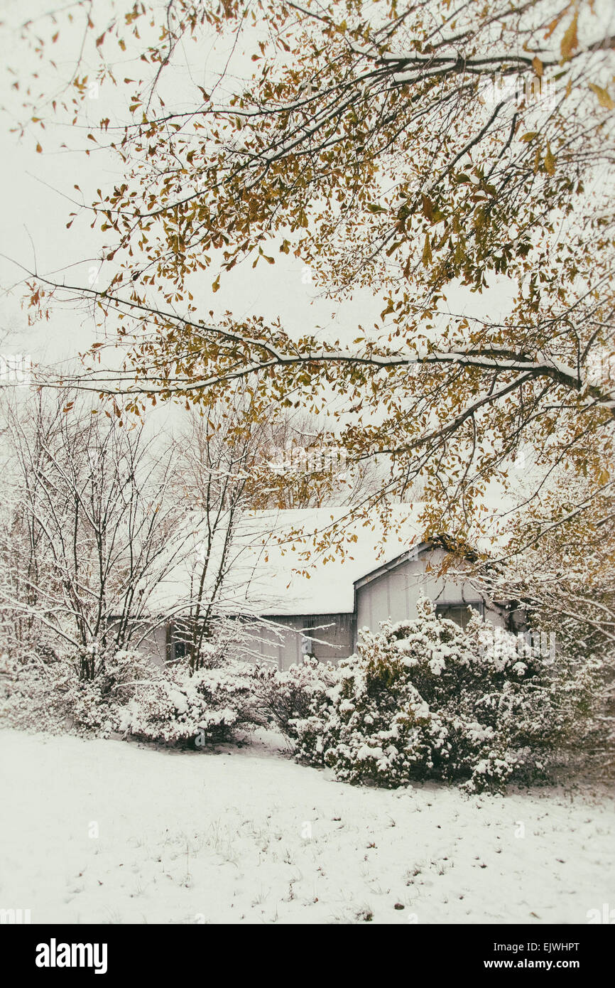 A small cottage after some fresh snow Stock Photo - Alamy