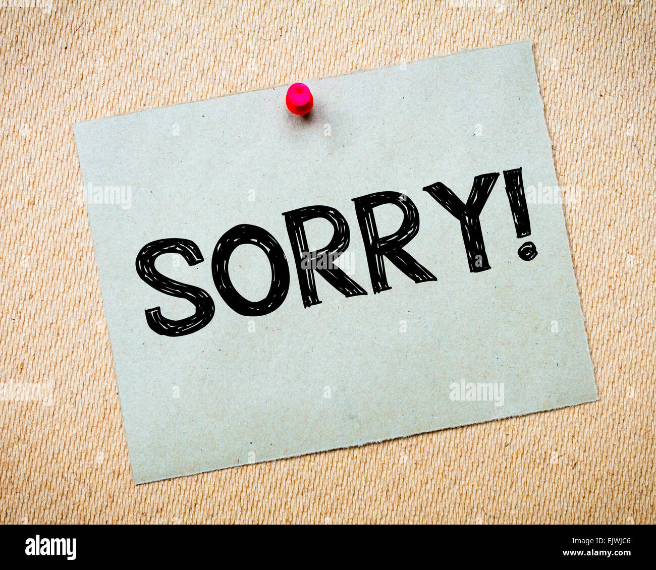 Recycled paper note pinned on cork board.Sorry Message. Concept Image ...