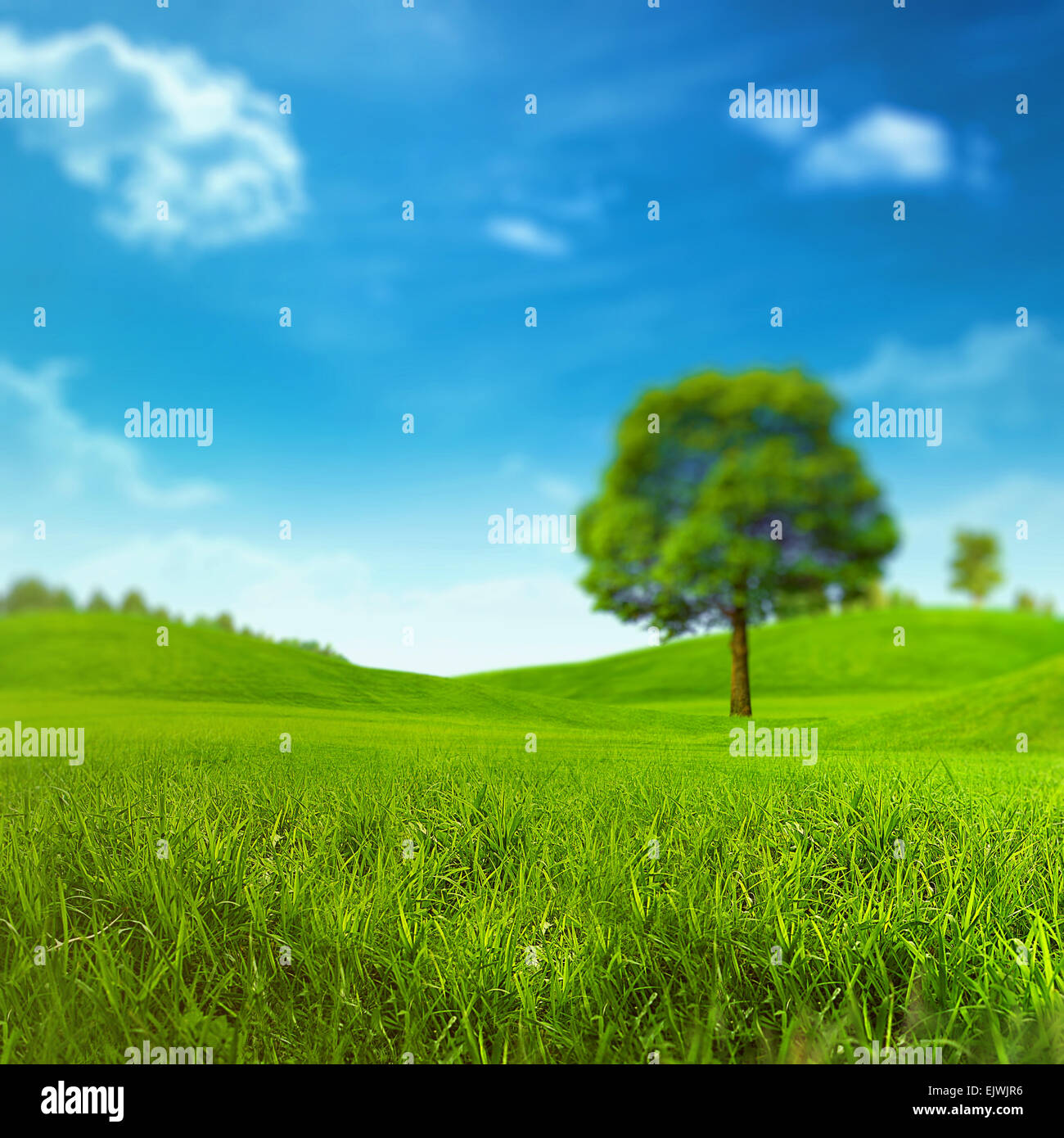 Noon sun hi-res stock photography and images - Alamy