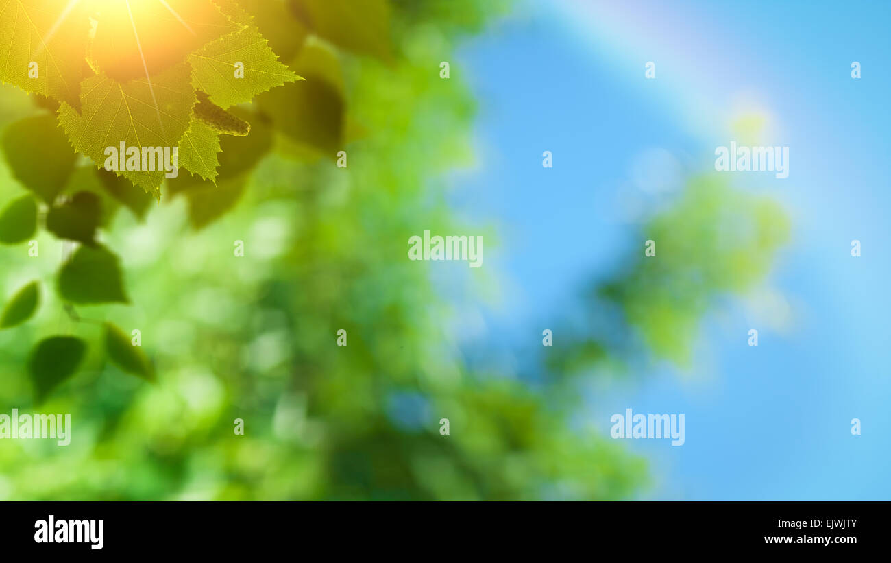 Abstract spring summer hi-res stock photography and images - Alamy
